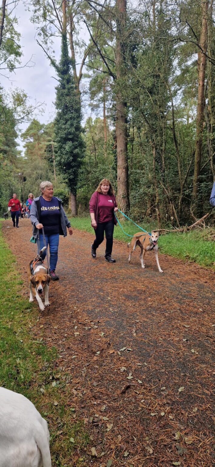 Oliver Walk and Fun Dog Show – Galway SPCA