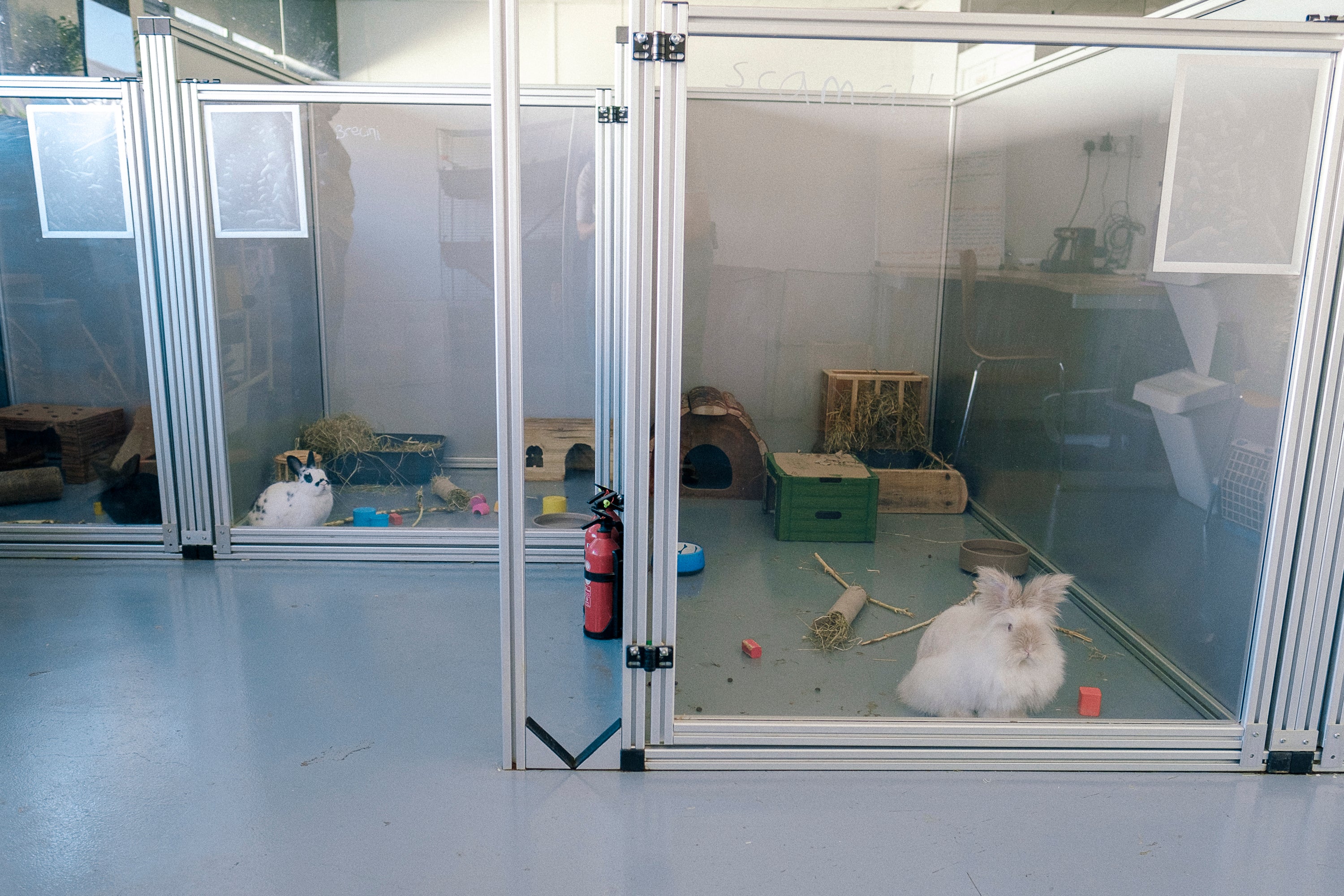 Kennels, Cattery & Small Animal Unit – Galway SPCA